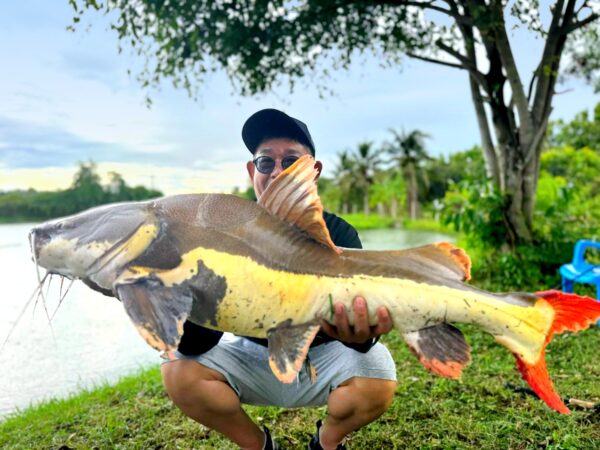 Amazon BKK Fishing Park - Thailand's Best Arapaima Ponds